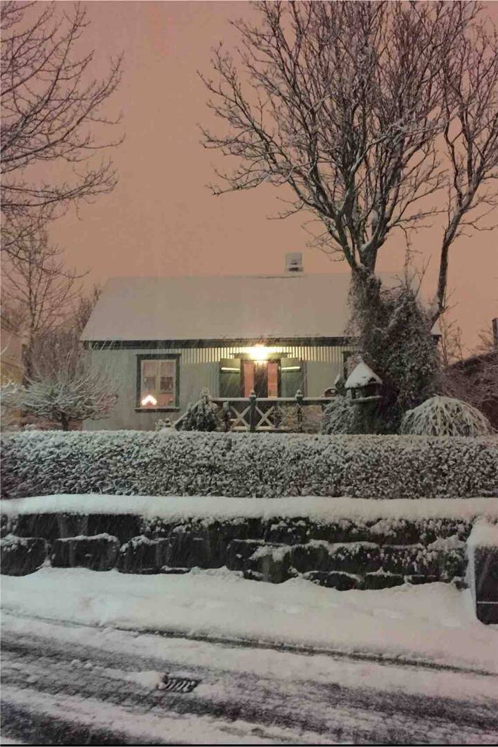 Cottage In Heart Of Reykjavík - Reikiavik