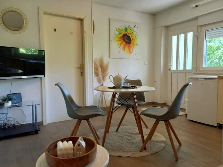 Apartment Vinea-parking Included - Šibenik