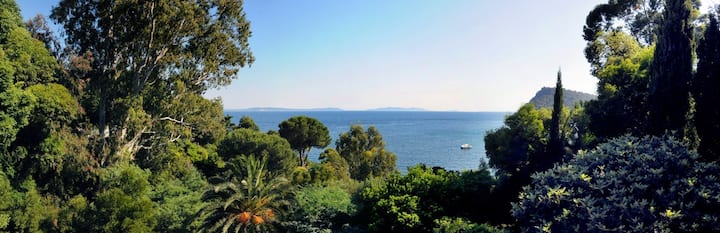 Maison D'hôtes Pieds Dans L'eau - Le Lavandou
