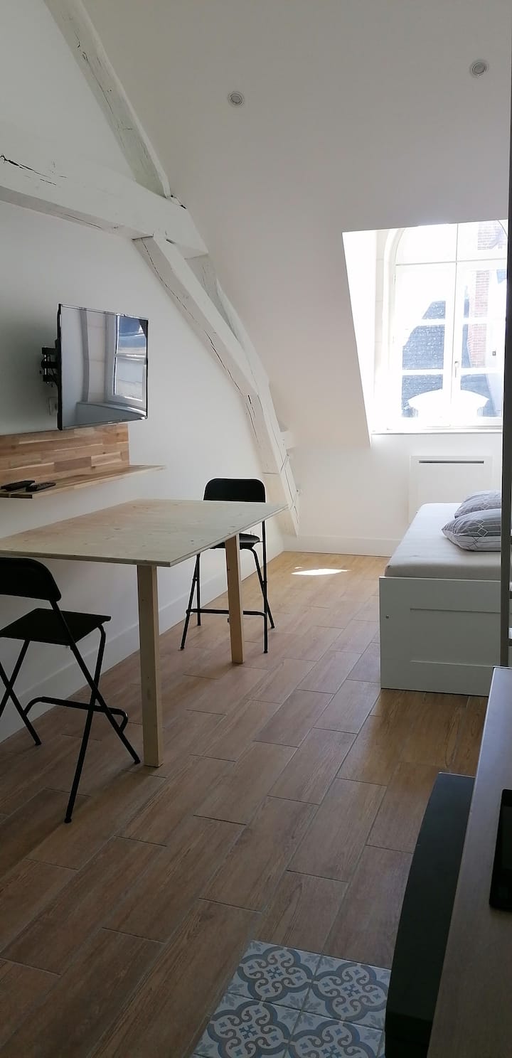 Studio Plein De Charme - 2 - Orléans