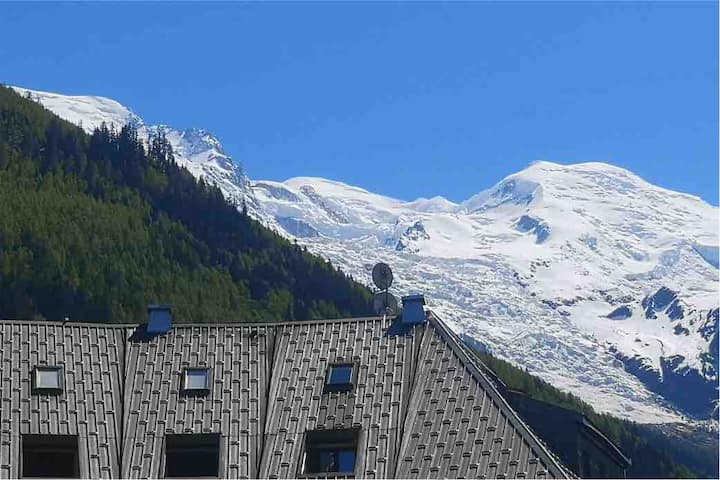 Central - Magnifique Vue Mont-blanc - シャモニー