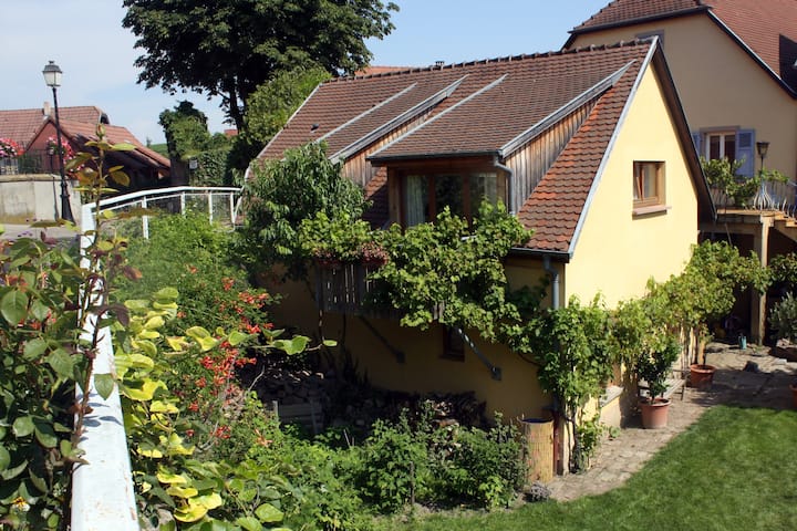 Au Cœur De La Route Des Vins - Hattstatt - Eguisheim