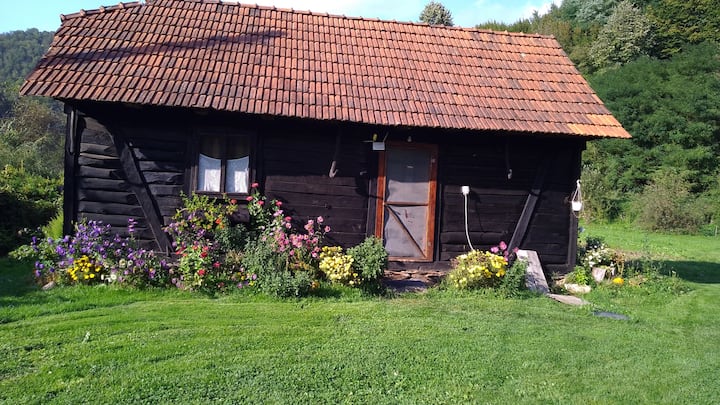 Casa Speranta
Singur In Curte ! - Hunedoara