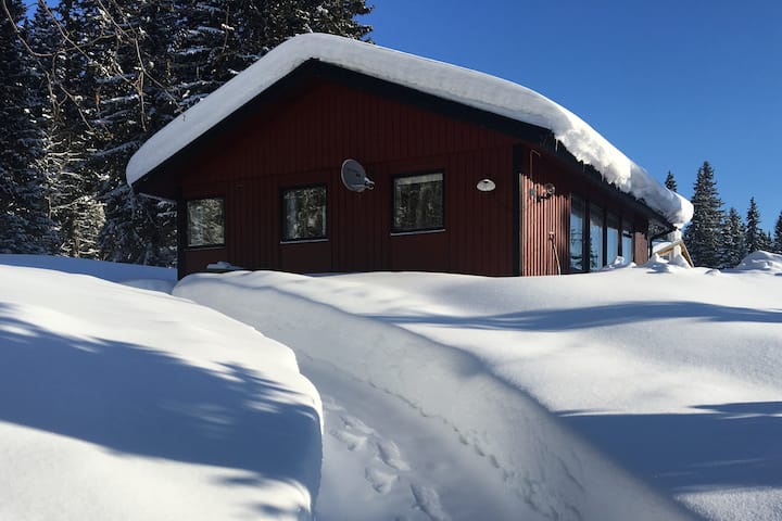 Fjällstuga I ÅRe - Åre