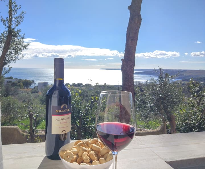 Villa Alda Bilocali -Terrazza Belvedere Vista Mare - Santa Cesarea Terme