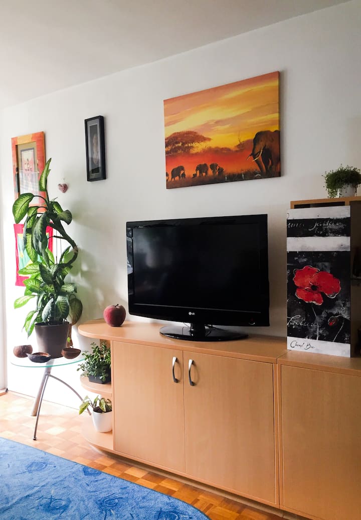 A Bright Studio In The Trendy Heart Of Ljubljana - Liubliana