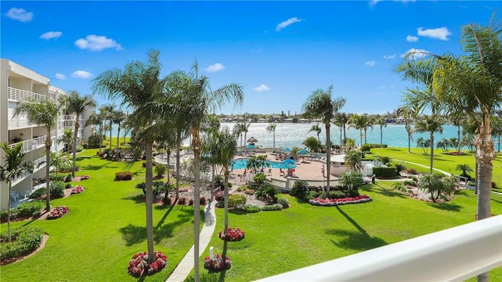 Tropical Paradise - Our Home Away From Home - St. Petersburg, FL