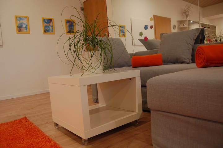 Nürtingen: Geräumige Ferienwohnung Im Loft-style Zwischen Obstwiesen Und Neckar - Neuffen