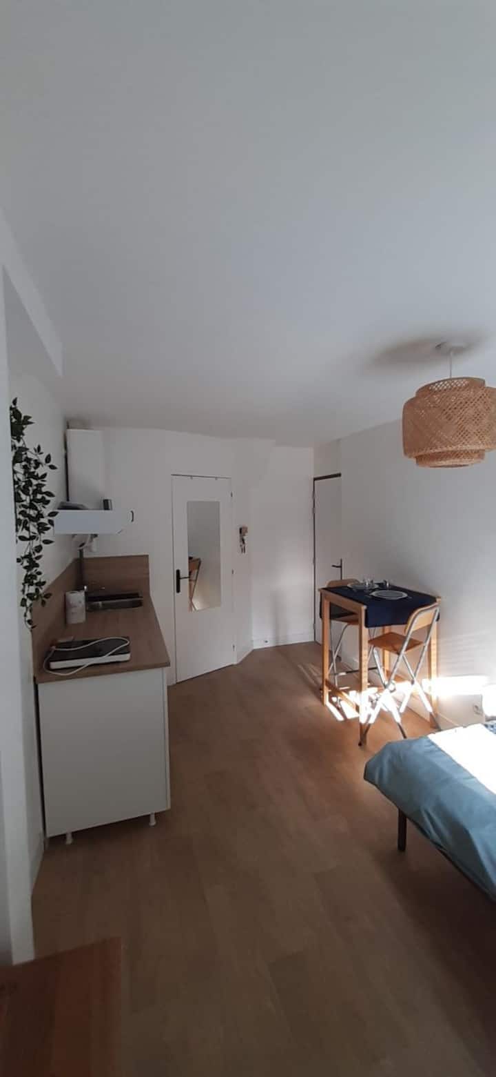 Superbe Studio ,Centre Ville, Entièrement Rénové. - Montbrison