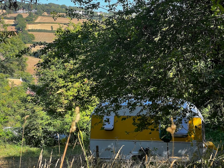 The Retro Retreat - A Cosy Converted Caravan - Teignmouth