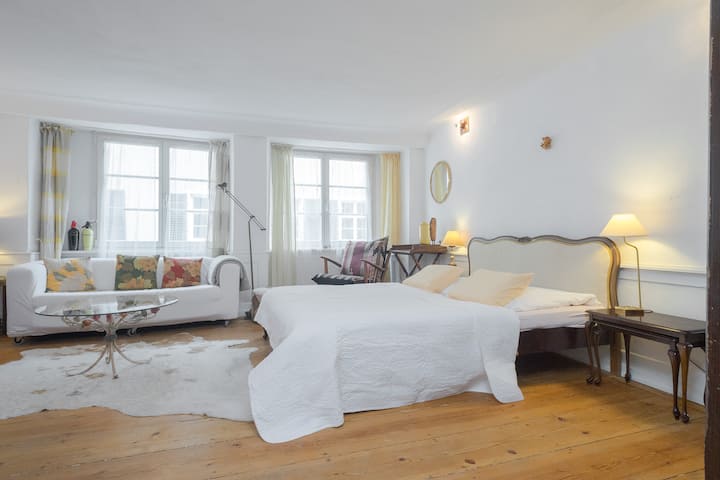 Gemütliche Altstadt Ferienwohnung Z5d - ボーデン湖