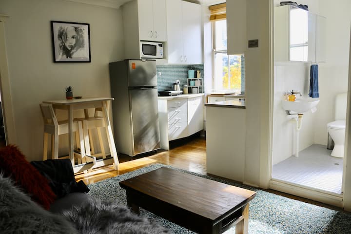 Bright Flat With City Views From Rooftopterrace - Surry Hills