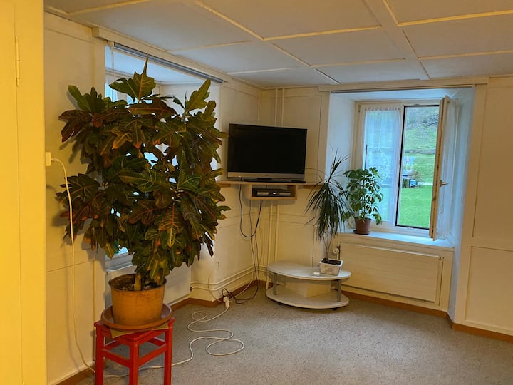 1,5 Zi-ferienwohnung In Linthal Glarus Süd - Elm