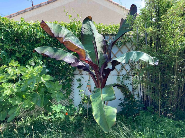 Maison Dans La Ville - Var