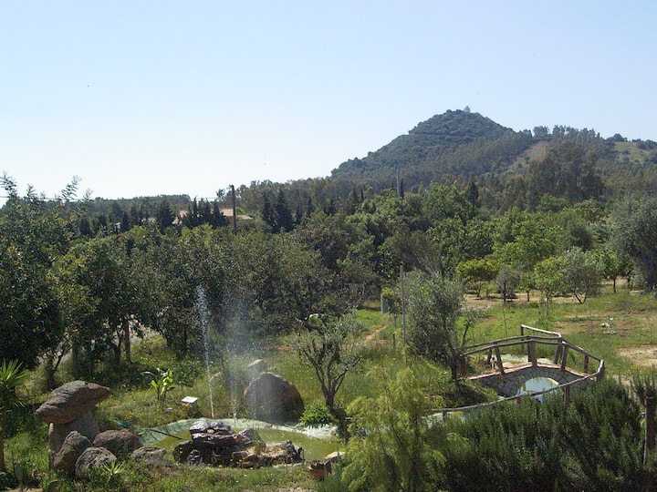 Casa Vacanze Sardegna - Cardedu