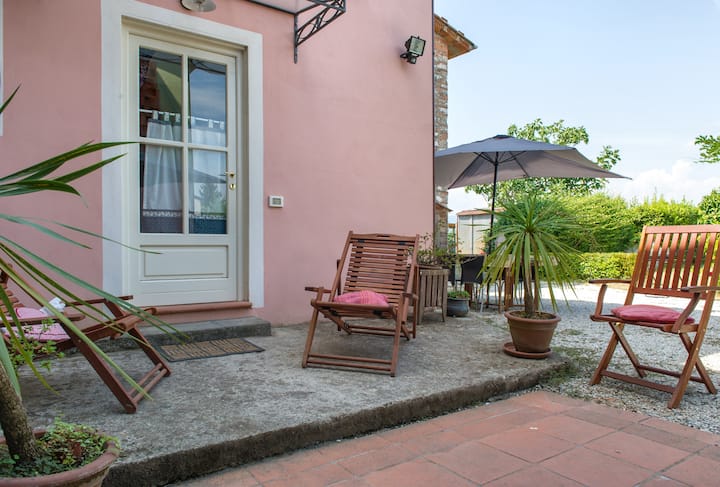 The Pink House - Lucca