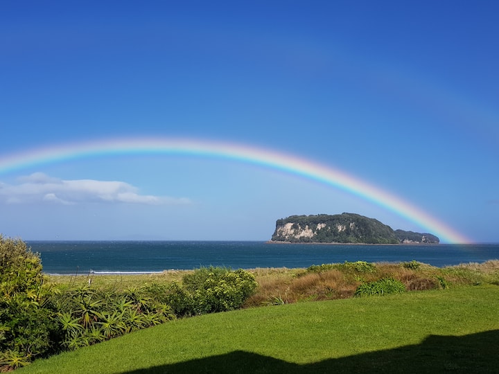 Absolute Beach Front Unit - Whangamatā