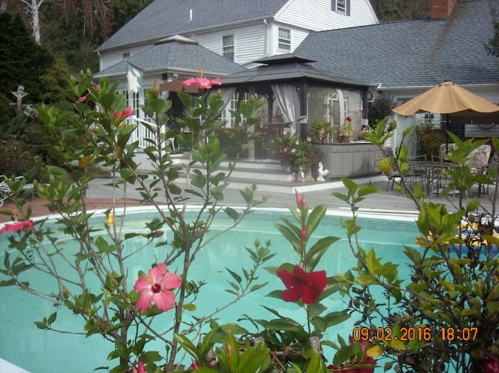 Awesome Disneyland For Adults Pool Privacy - Branford, CT