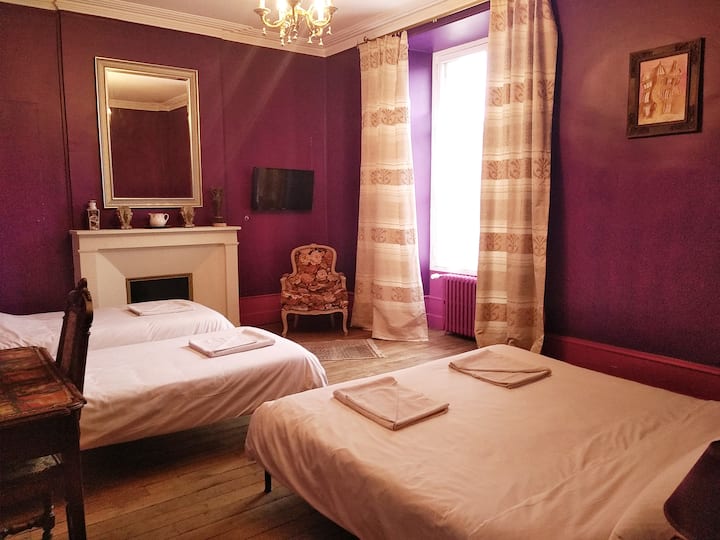 Chambre Privée Sdb Châteaux De La Loire (Violet) - Montrichard