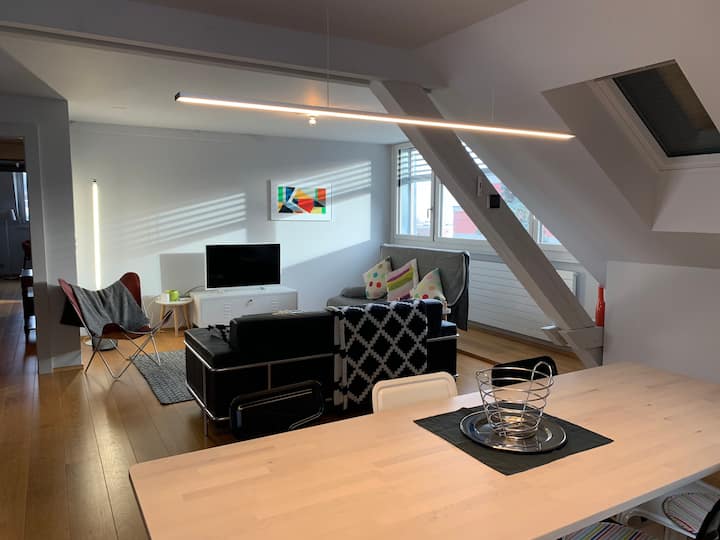 Cosy And Charming Loft On The Height Of Lausanne - Lausanne