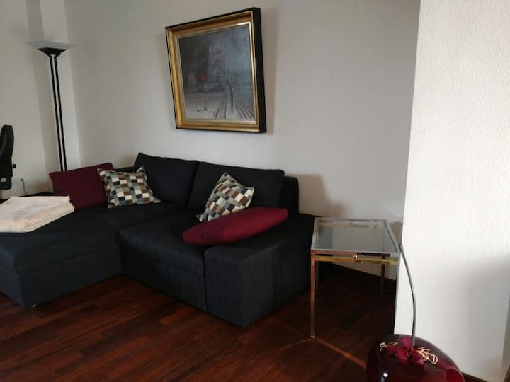 Spacious Apartment In Neuss - 杜塞道夫