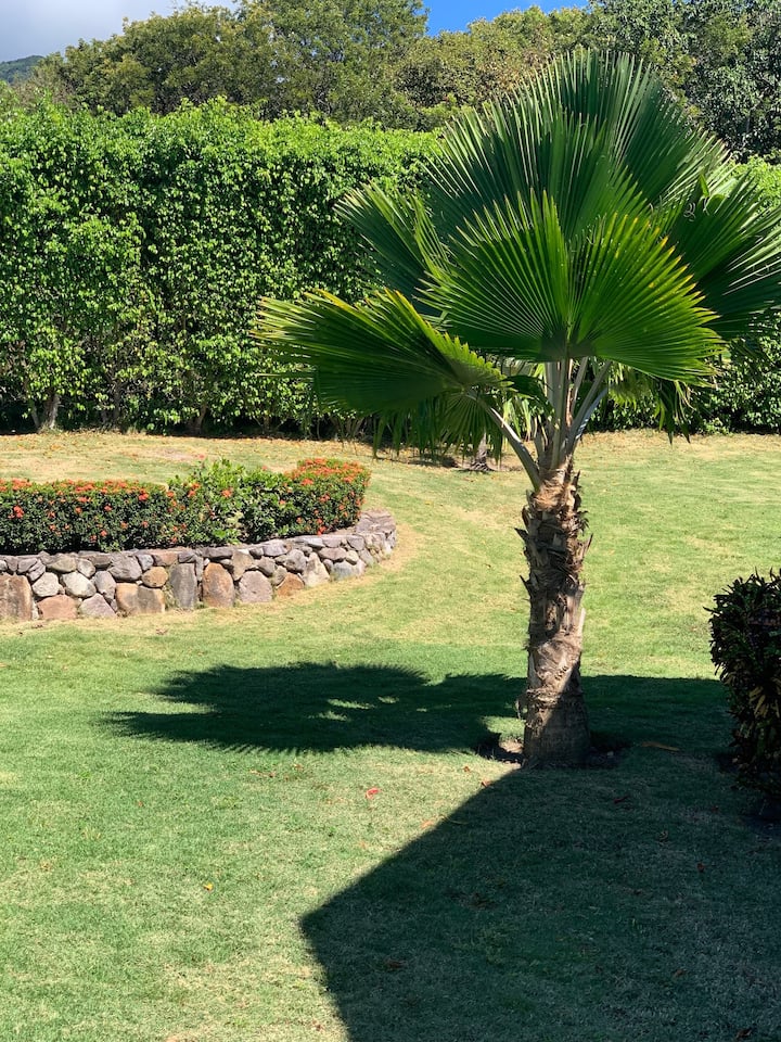 Private Home At End Of Cul De Sac 300 Feet Of Pristine Ocean Views - Montserrat