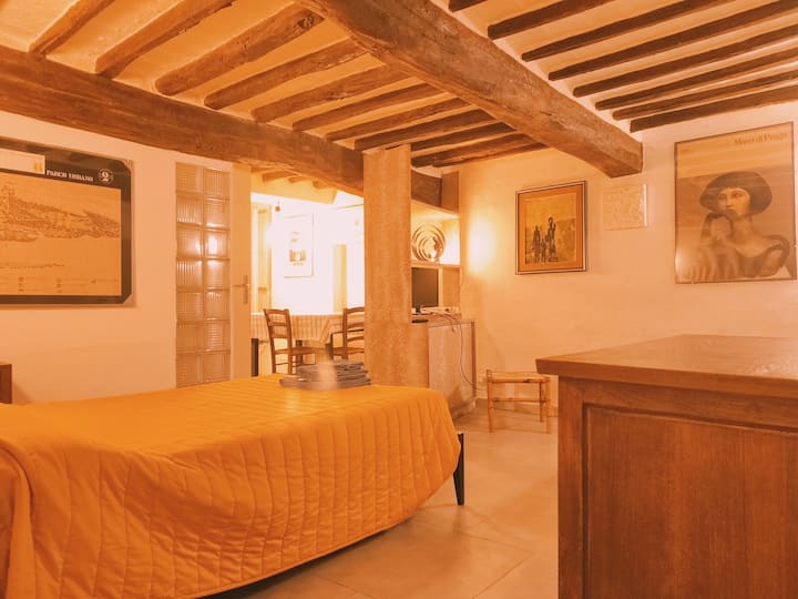 Centro Storico, A 100 Metri Da Piazza Del Campo - Sienne
