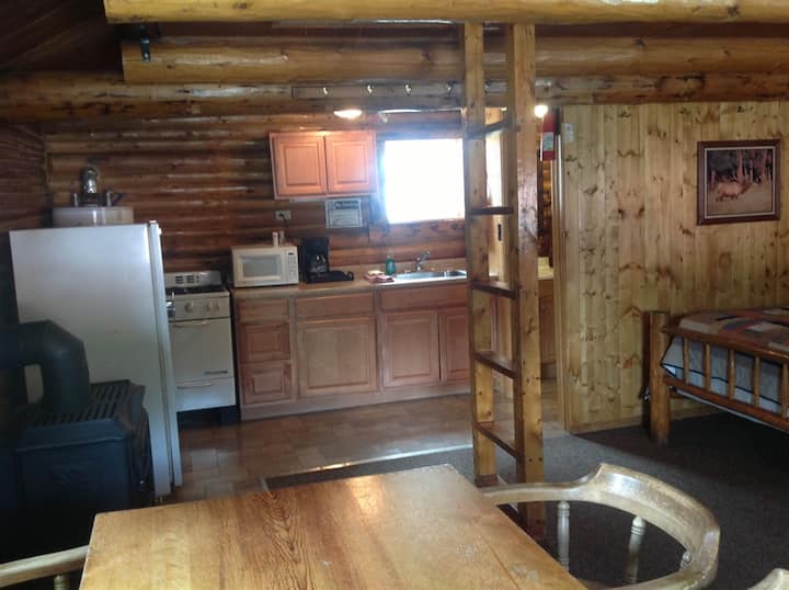 Moose Tracks Cabin 4 - Cooke City-Silver Gate, MT