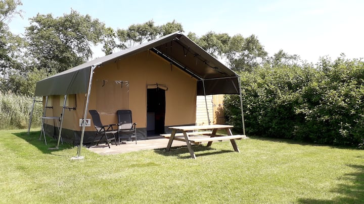 Jutterstent Op Rustieke Plaats. - Texel