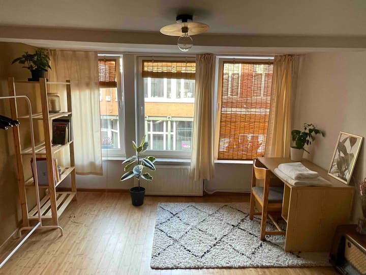 Chambre Spacieuse Dans Petite Jungle - Liège