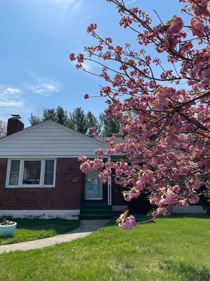 Lynchburg Family Living - Close To Lu And Uofl - Lynchburg