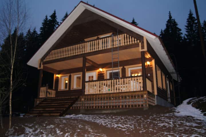 Cottage At The Lake In The Wood - Lemi
