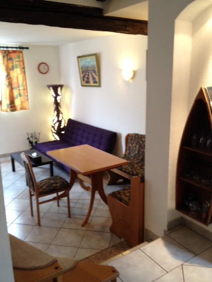 Alsace-petite Maison De Caractère - Brumath