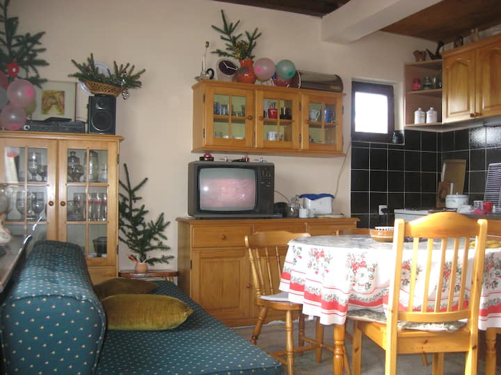 Duplex Home* Apartment* For 7 - Kopaonik