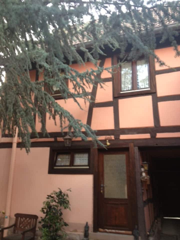 Alsace-petite Maison De Caractère - Brumath