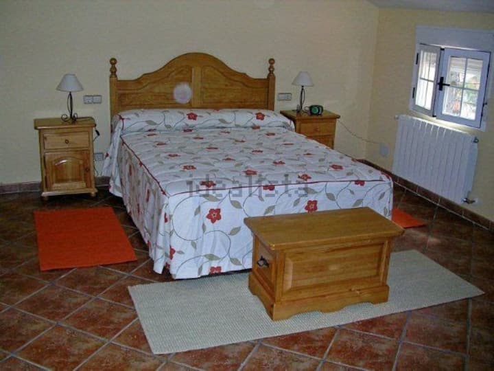 La Casa Está Ubicada Entre Pinos. - Trillo