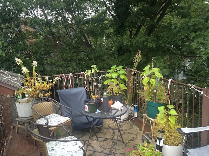 2 Rooms Close To Medical - Hyde Park - Boston