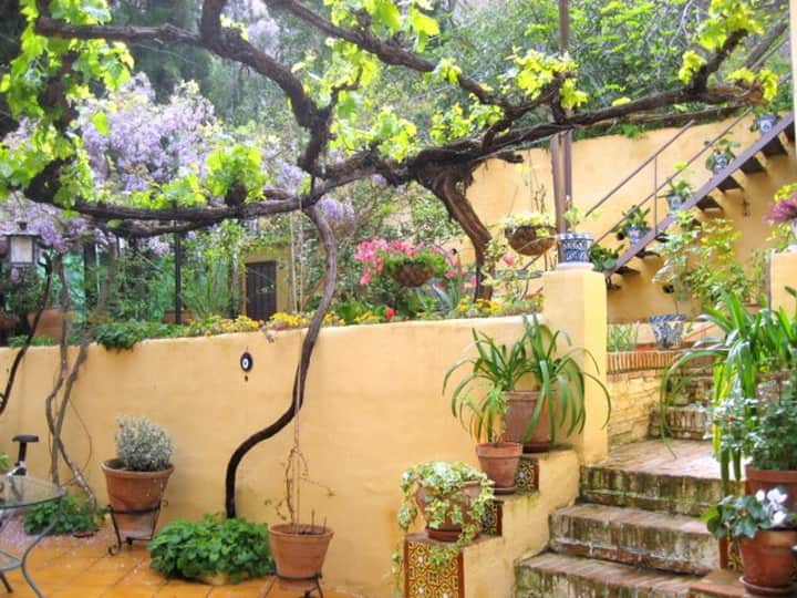 Studio Réservé Aux Femmes Dans L’albaicín. Jardin. - Alhambra