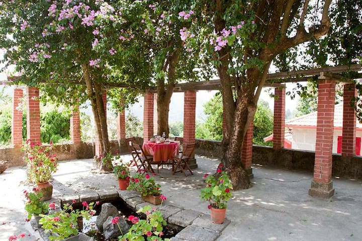 Casa Do Palheiro - Covelas_douro - Cinfães