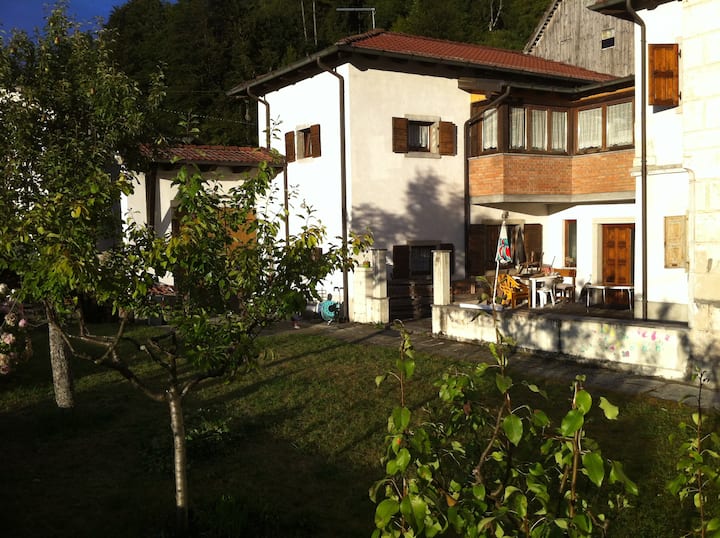 House Mountain Holiday - Arta Terme