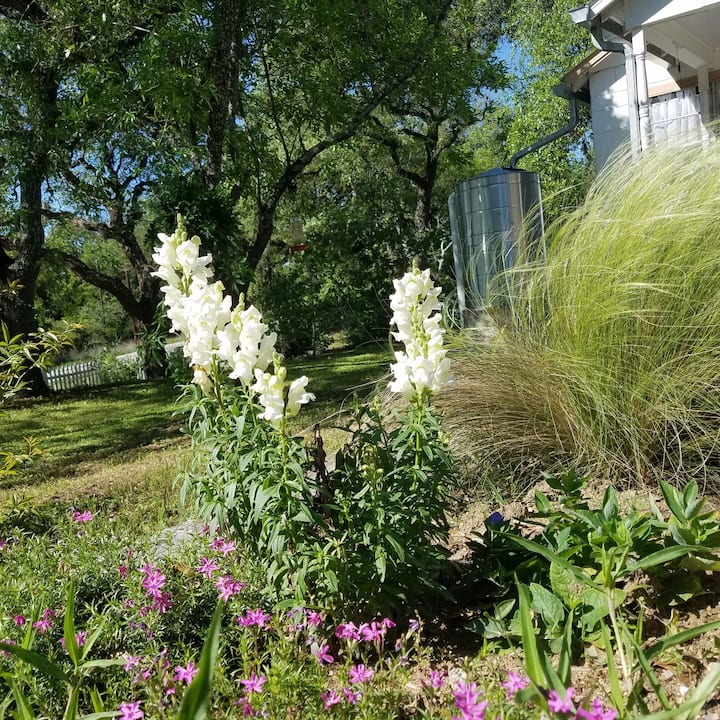 The Crumley House in the Texas Hill Country - Houses for Rent in Austin ...