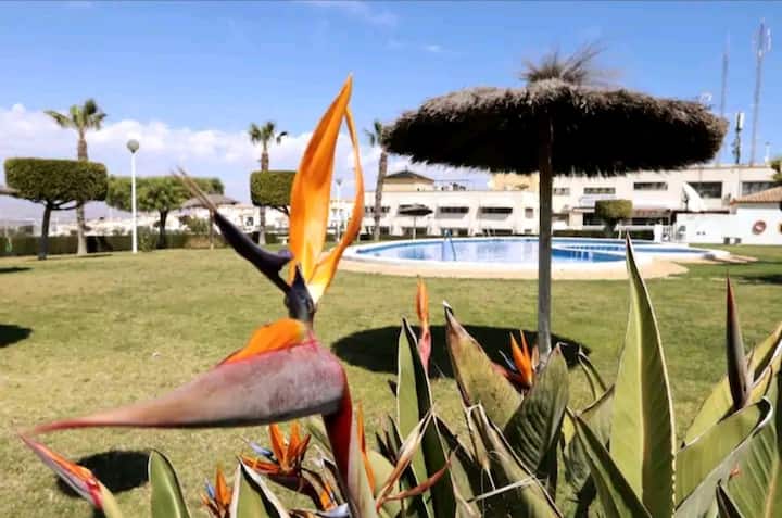 Apartamento Con Solarium - Santa Pola