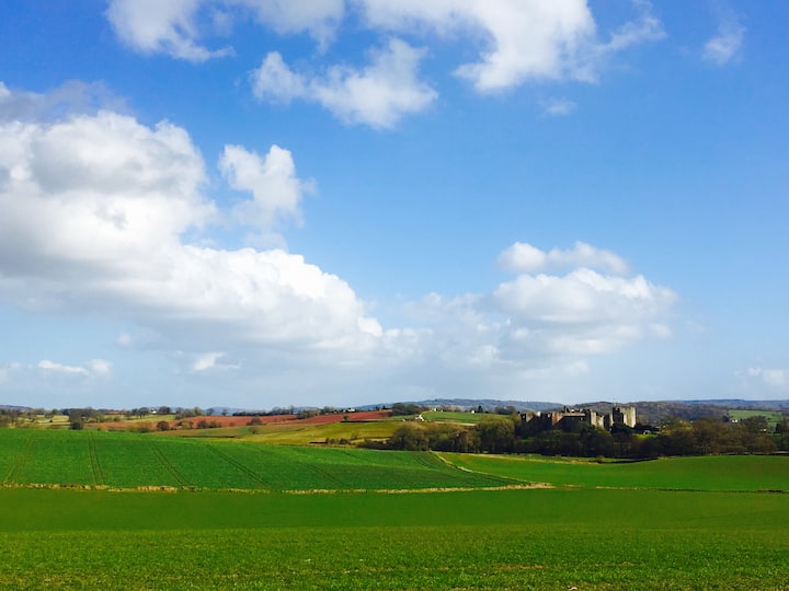 Castle Court,visit Cardiff & Castles So Close - Usk