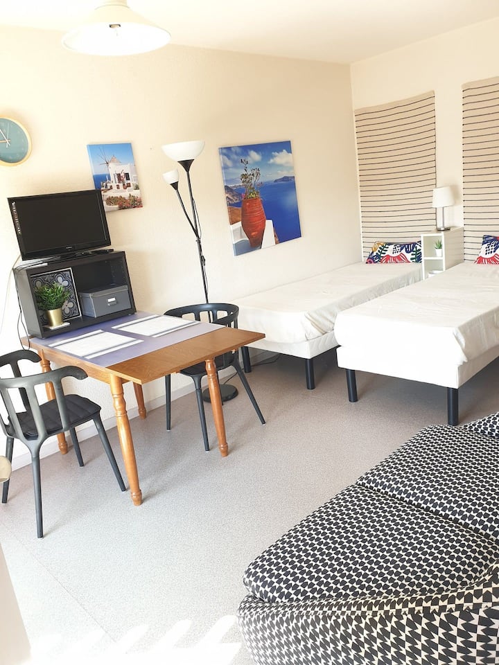 Studio 23m2 Meublé à 300m Des Thermes - Barbotan les Thermes