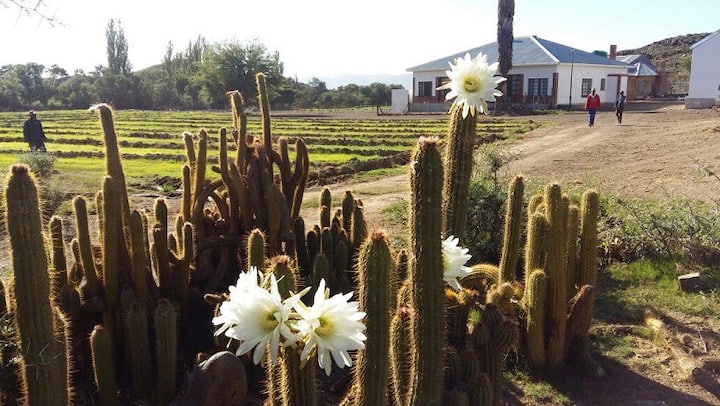 Karoo Farm - Off The Grid Quiet And Comfort - Western Cape