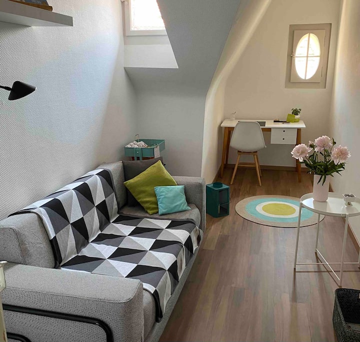 Kleine Charmante Dachwohnung - Bern