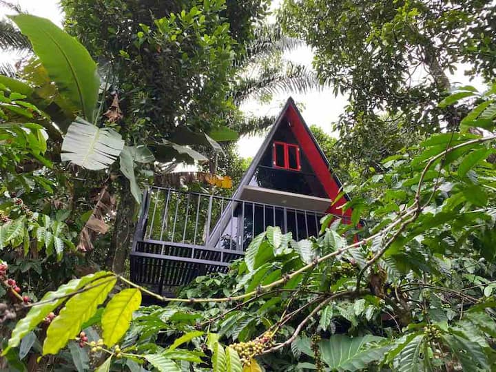 BLUSH by Kabani Riverside - Tiny houses for Rent in Wayanad, Kerala ...
