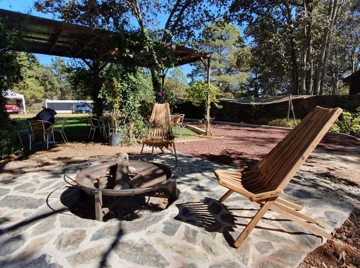 Duerme En Medio Del Bosque