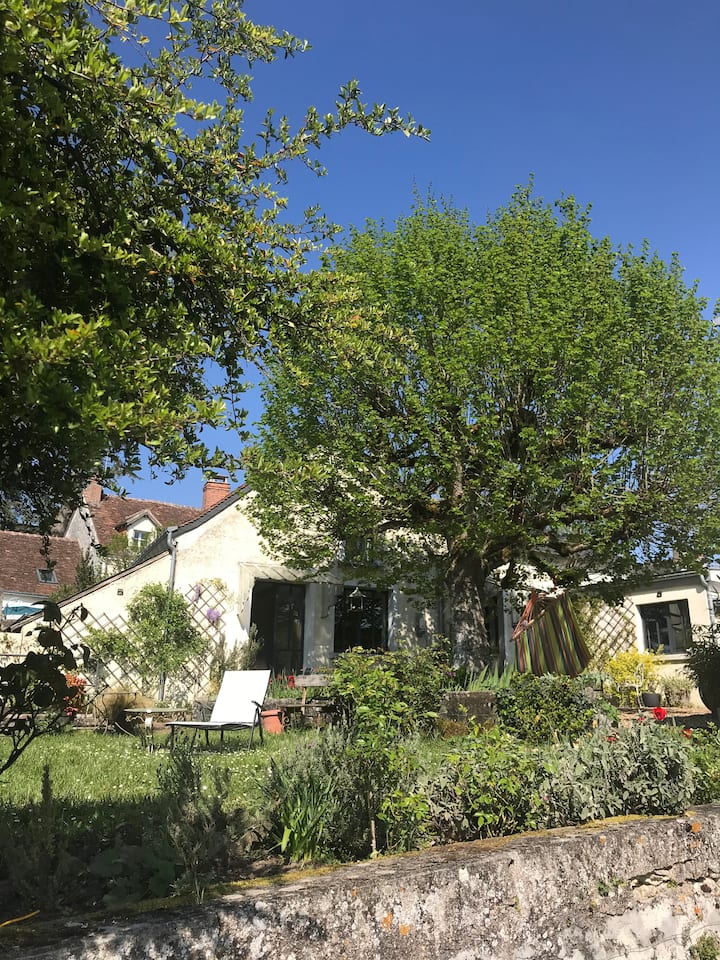 À 2 Pas De Chenonceau, Amboise, Beauval, Chaumont - Chenonceaux