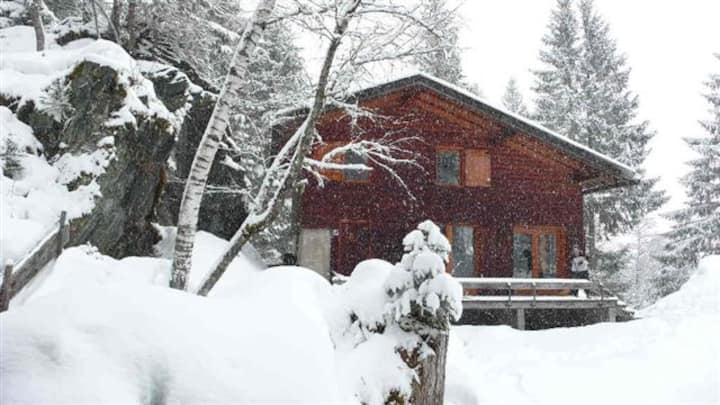 Amazing Cabin In The Mountains - Hintersee